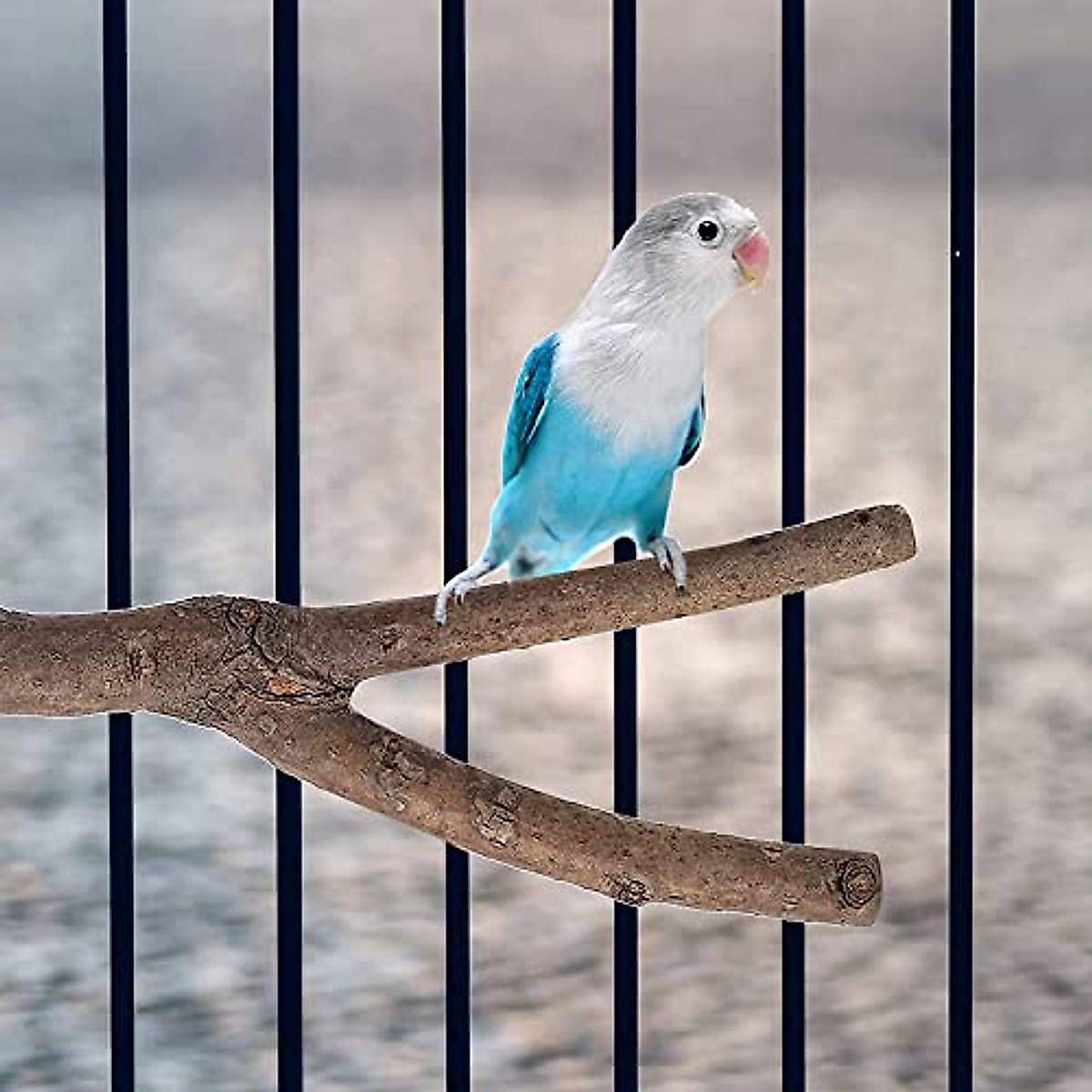 Allazone 10 PCS Natural Wood Bird Perch Stand, Bird Parrot Perch Stand Set, Wooden Parrot Perch Stand Perch Platform Cage Accessories for Parrotlets Cockatiels Budgies Parakeets