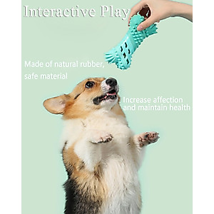 Rfirady Dog Chew Toys for Aggressive Chewers, 2 Pack Indestructible Durable Tough Interactive Dog Toys with Dog Treat Ball, Puppy Teething Chew Toys for Small Meduium Large Dogs