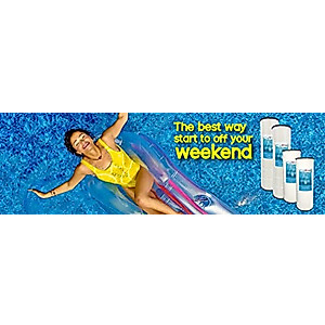 FILTPOOL FP-33200, Jandy CS200, 11088503, 11088513, Pleatco PJANCS200, Unicel C-8418, Filbur FC0823, 833-205, 1Pack