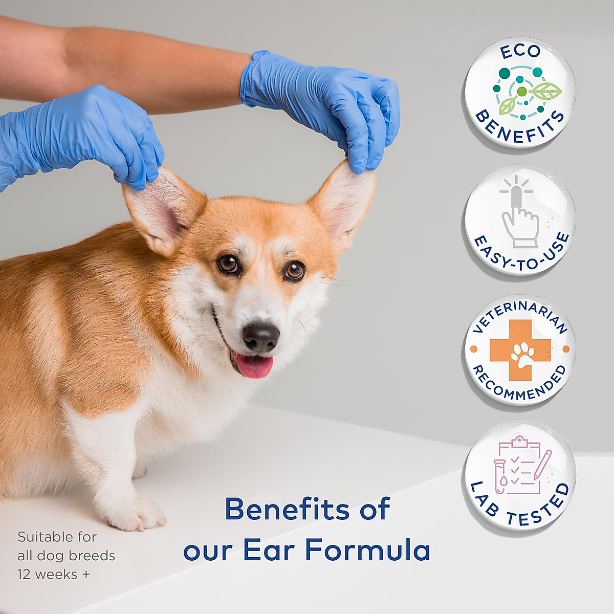 ARCA PET Dog Ear Cleaner Wipes - Vet Formulated Cleanser for Dogs - Ear Itching, Dissolves Wax, Dirt & Odor with Coconut Oil & Aloe Vera (50 Finger Wipes)