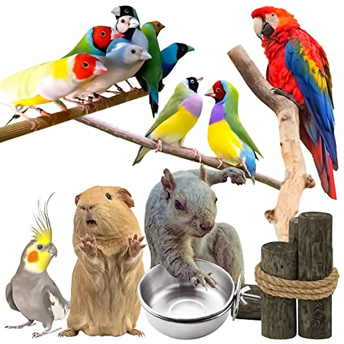 MotBach 3 Pieces Stainless Steel Bird Feeding Dish Cups, Bird Feeder Parrot Food Water Bowls with Clamp, Pet Cage Cups Holder for Bird Parrot Cockatiel Conure Budgies Parakeet Small Animal