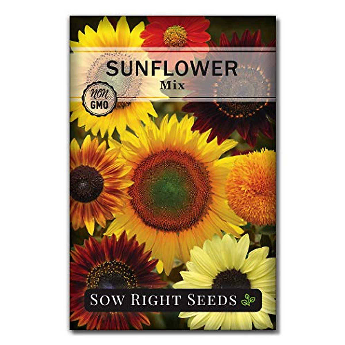 Sow Right Seeds - Sunflower Garden Seed Collection for Planting Outdoors - Large Individual Packets of Mammoth Sunflower and Sunflower Mix. Non-GMO Heirloom Seed to Grow - Wonderful Gardening Gift