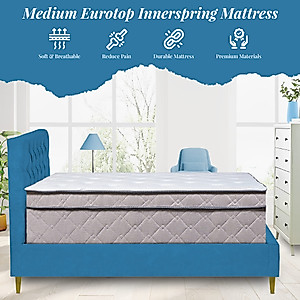 Nutan 13" Extra Plush Bed Mattress, Comfortable Supportive Eurotop Foam Encased Mattresses for Better Body Posture and Positioning, Relieves Pain and Aches, Queen