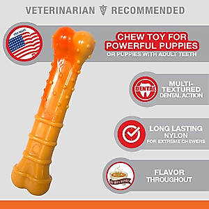 Nylabone Puppy Power Chew Toy - Tough and Durable Puppy Chew Toy for Teething - Puppy Supplies - Beef Broth & Vegetable Flavor, Small (1 Count)