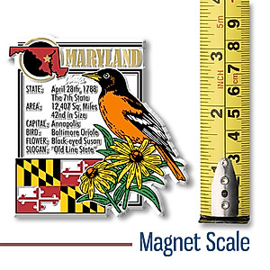 Maryland State Montage Magnet by Classic Magnets, 3" x 3.3", Collectible Souvenirs Made in The USA