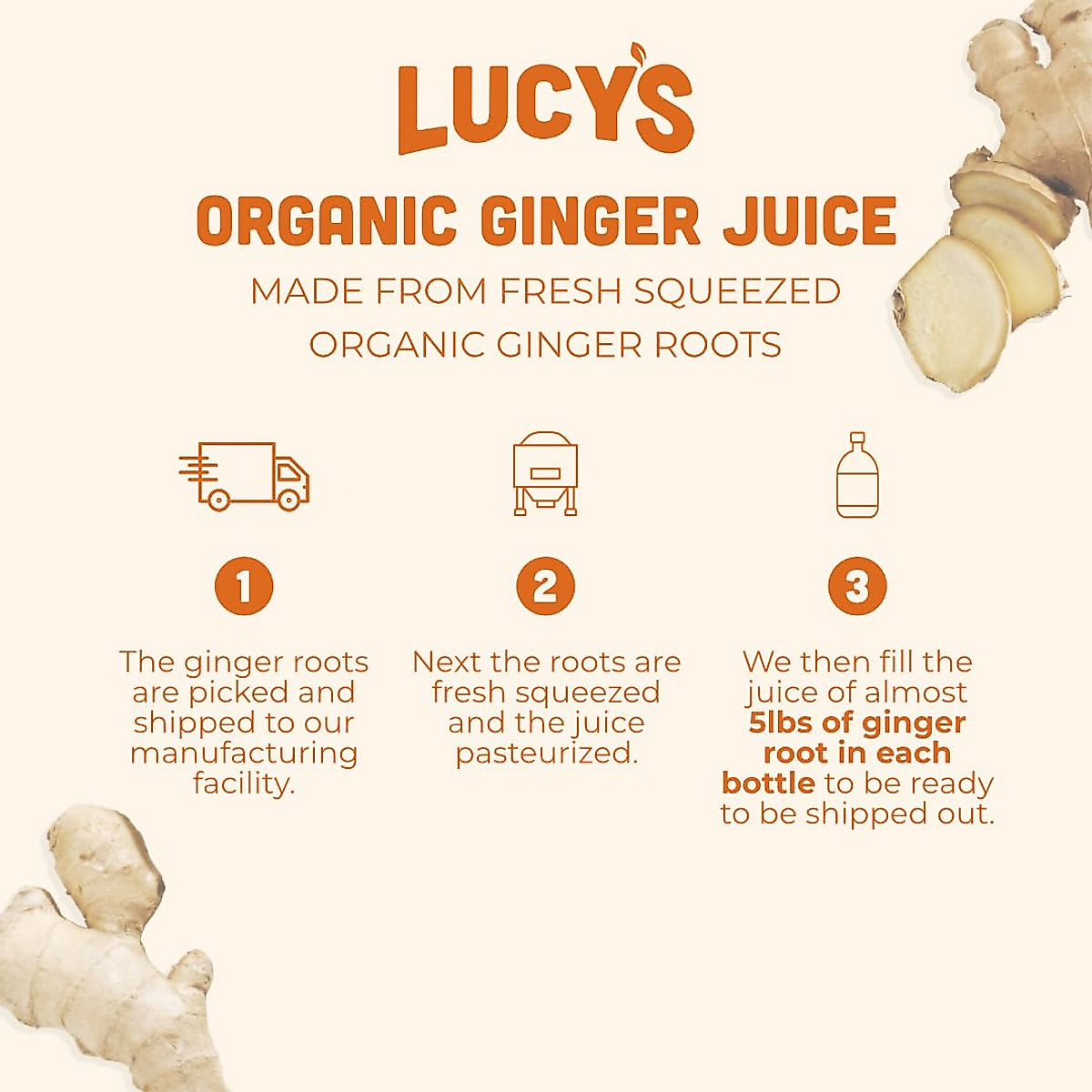 Lucy's Family Owned - PERUVIAN Organic 99% Pure Ginger Juice, 34 oz. Glass Bottle (Made From Fresh Pressed)