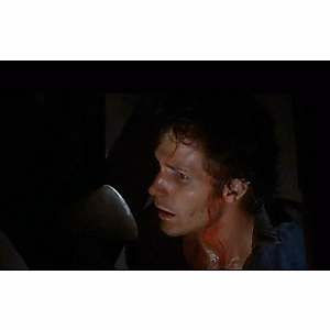 The Burning (1981) DVD Brian Matthews Leah Ayres