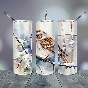 Sparrow Skinny Tumbler, Skinny Tumbler With Lid And Straws, Stainless Steel Insulated Cups For Coffee, Tea, Beverages, Gift for Her Women Girlfriend (20 oz)