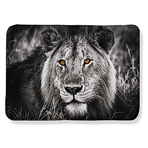 XYHH Area Rug Black and White Gray Lion Head for Living Room Dining Room Bedroom playroom Parent-Child Game mat Study Office Room Decor lz Gray,white 39x60in