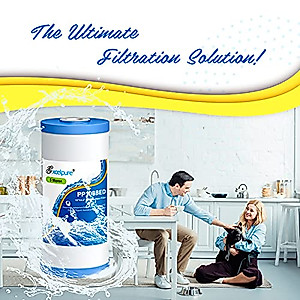 EXCELPURE Whole house 10" x 4.5" (5 Micron） Sediment Water Filter Compatible with Culligan GE FXHTC, RFC-BBSA, W50PEHD, GXWH40L, GXWH35F, GNWH38S, Dupont WFHD13001, Pentek R50-BB（2 PACK）