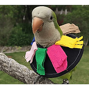 Adjustable Bird Collar Anti Bite Elizabethan Recovery Cone, Bird Neck Protector for Feather Plucking, Skin-Friendly Bird Neckwear Full Body Shield for Parakeet Conure Cockatiel (M)