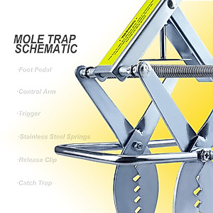 Upgraded Mole Trap Scissor, Mole Traps for Lawns That Kill Best, Easy Step Setup