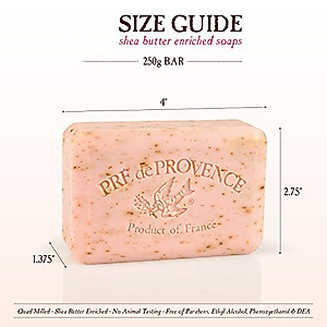 Pre de Provence Artisanal Soap Bar, Enriched with Organic Shea Butter, Natural French Skincare, Quad Milled for Rich Smooth Lather, Lavender, 8.8 Ounce