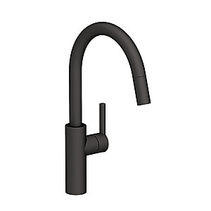 Newport Brass 1500-5113/56 Kitchen-Sink-faucets, Flat Black