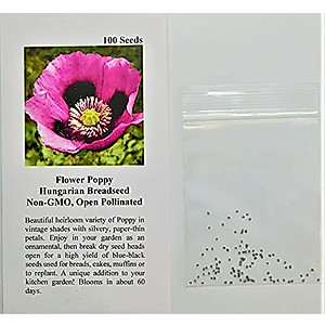 David's Garden Seeds Flower Poppy Hungarian Breadseed (Purple) 100 Non-GMO, Open Pollinated Seeds