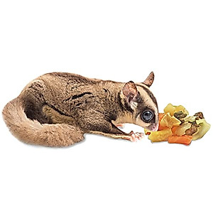 Exotic Nutrition Garden Fresh Re-Hydrate - High Calcium Dried Fruit & Vegetable Mix - for Sugar Gliders, Marmosets, Parrots, Conures, Iguanas, Turtles, Lizards, Bearded Dragons, & Other Small Pets