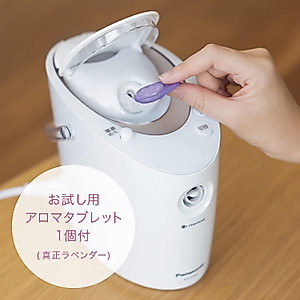 Panasonic EH-SA6C-N [Steamer Nanocare 2Way Type Gold Style] Facial Steamer 100V Shipped from Japan