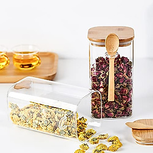 Unbreakable Glass Jars,1400ml/47oz Glass Kitchen Canisters Set of 2 with Airtight Bamboo Lid and Spoon,Glass Food Storage Containers for Coffee Beans, Flour, Sugar, Cookie,Pasta,Tea Leaf and More
