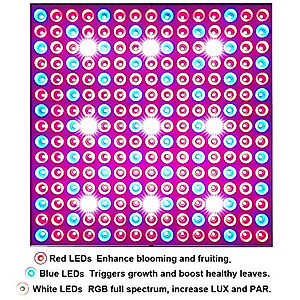 Skylaxy LED Grow Light, Plant Grow Lights for Indoor Plants Full Spectrum 75W Panel Growing Lamp with Timer for Seedling Veg and Flower (2 Pack)