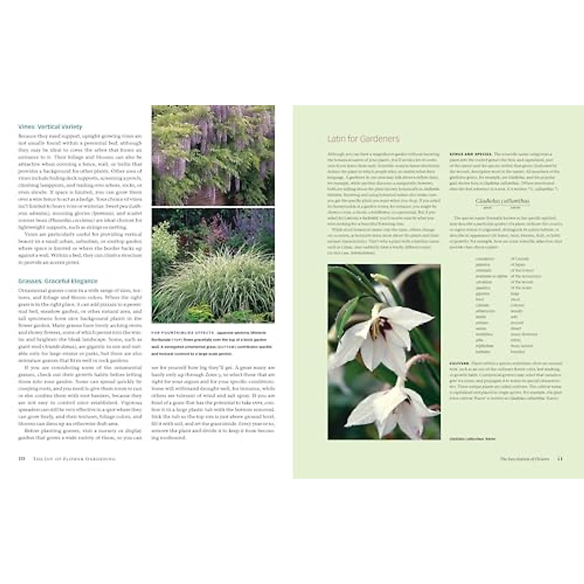 The Flower Gardener's Bible: A Complete Guide to Colorful Blooms All Season Long: 400 Favorite Flowers, Time-Tested Techniques, Creative Garden Designs, and a Lifetime of Gardening Wisdom