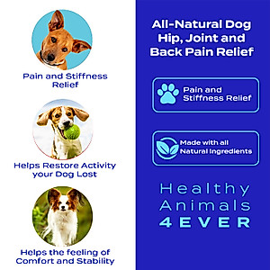 Healthy Animals 4 Ever Arthritis Remedy for Dogs - Restore Energy & Vitality - Support Hip & Joint Health - Minimize Pain - All-Natural, Non-GMO, Organic - Preservative & Chemical Free - 300 ct