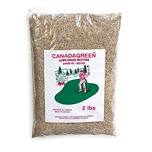 Canada Green Grass Seed - 6 Pound Bag