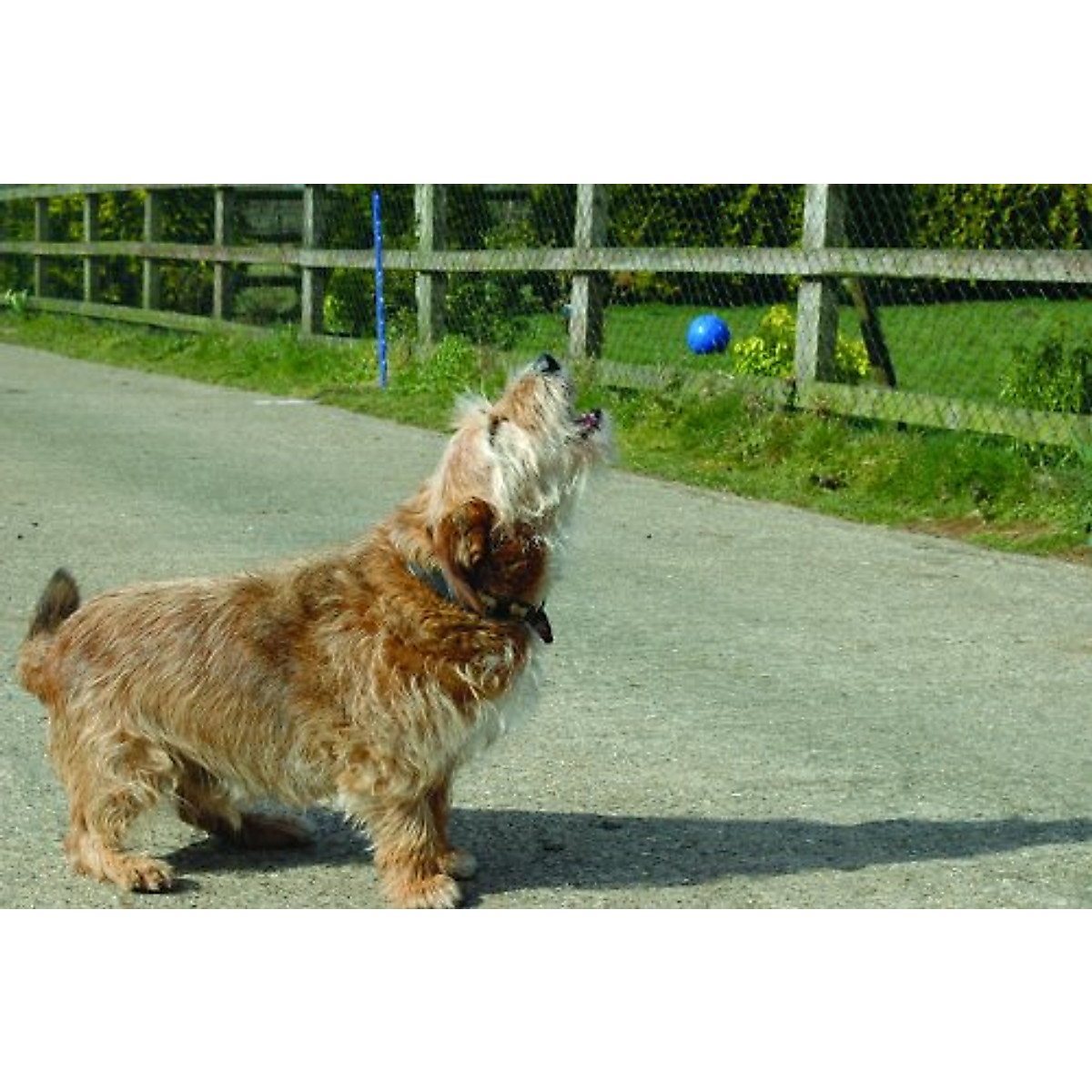 PET CORRECTOR Dog Trainer, 50ml. 8 Pack- Stops Barking, Jumping Up, Place Avoidance, Food Stealing, Dog Fights & Attacks. Help stop unwanted dog behaviour. Easy to use, safe, humane and effective.