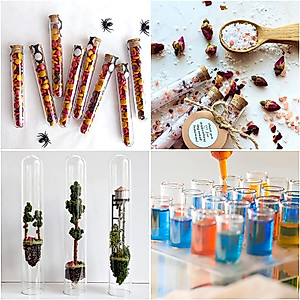 Test Tubes, 15Pcs 3ml Plastic Tube, Propagation Tubes, Test Tubes with Lids, Plastic Test Tubes, Test Tube, Test Tubes for Plants, Plastic Tubes with Caps, Clear Plastic Test Tubes with Cork Stoppers