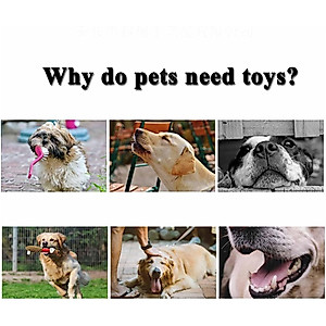 maa mma Petsboro Robust Bear, Designed for Heavy Chewers, Plush Dog Toy, Interactive Dog Toys for Boredom, Indestructible Robust Bear, Dog Stuffed Animals Chew Toy Squeaky (Blue+Brown)