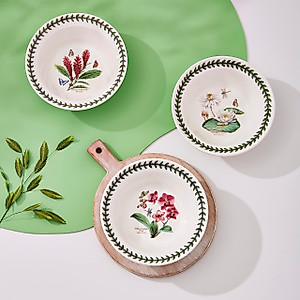 Portmeirion Exotic Botanic Garden 6.5 Inch Oatmeal Bowl with Dragonfly Motif | Dishwasher, Microwave, and Oven Safe | For Cereal, Soups, or Salads | Made in England