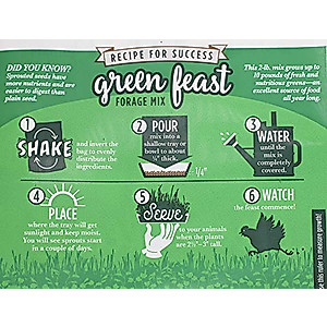 Amturf Green Feast Forage Mix, Brown,2 Lb Bag, 36018S