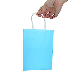 25pcs Paper Bags with Handles. Small Gift Bags Party Favor Bags Goodie Bags Shopping Bags. Light Blue Gift Bags with Handles Bulk for Birthday Wedding Retail Business Festivals Arts DIY Crafts