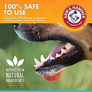 Arm & Hammer for Pets Clinical Care Dental Enzymatic Toothpaste for Dogs | Soothes Inflamed Gums | Safe for Puppies 1 Pack Fresh Breath Vanilla Ginger