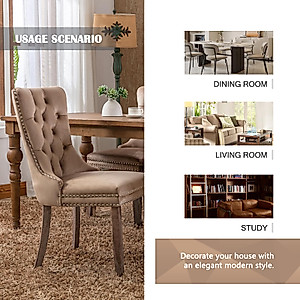 Hixkol Velvet Dining Chairs Set of 2,Upholstered Dining Chairs with Ring Pull Trim and Button Back,Modern Seating for Kitchen, Bedroom & Living Room(Khaki)