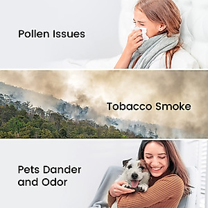 Smartmi Air Purifier 2 Replacement Filter, H13 True HEPA Filter, Activated Carbon and Preliminary Filters - Absorbs Pollen, Odors, Smog, and Smoke at Home, Office