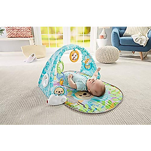 Fisher-Price Butterfly Dreams Musical Playtime Gym [Amazon Exclusive]