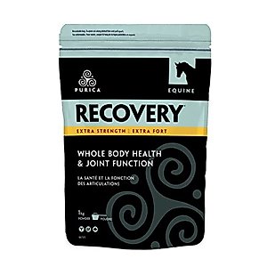 Recovery EQ with Hyaluronic Acid, 2.2 lbs (1 Kg)