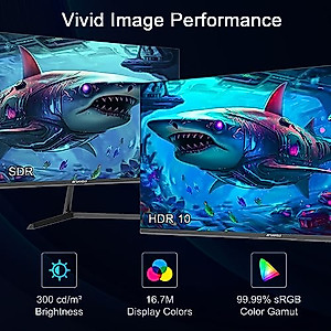 SANSUI 24 inch Monitor, IPS Display Computer Monitor with Built-in Speakers, 100Hz Monitor VESA Mount with DisplayPort HDMI VGA Inputs, FHD Monitor for Home Office (ES-24x3A HDMI Cable Included)