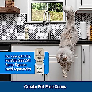 PetSafe SSSCAT Spray Replacement Can Only – Use with SSSCAT Spray, Dog and Cat Deterrent System - Keeps Areas Pet Proof – Environmentally Friendly Training Repellent - Protect Your Pets and Furniture