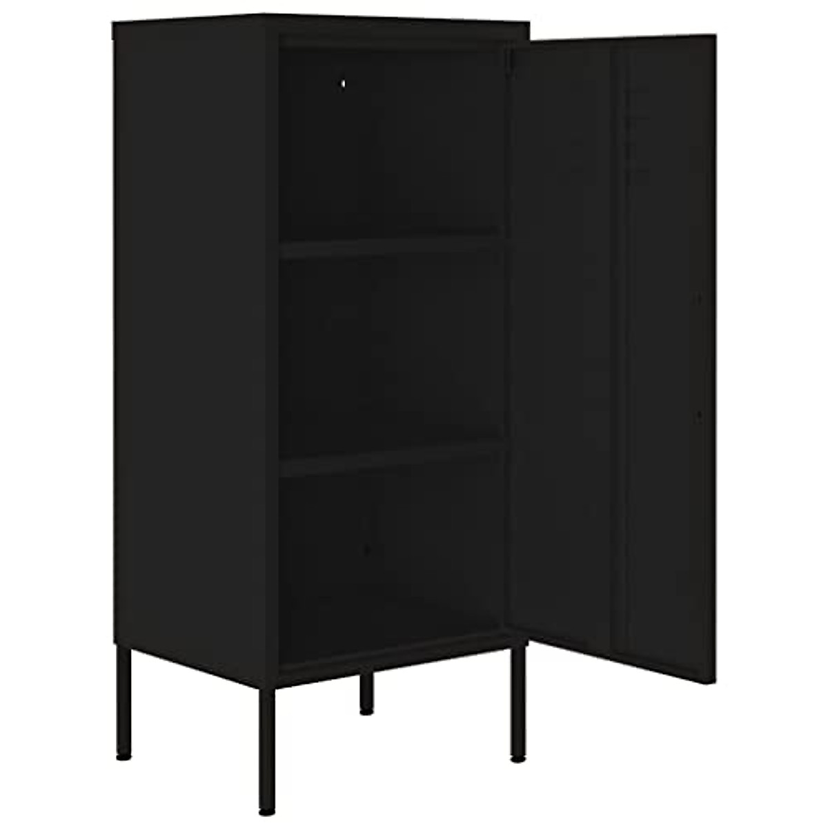 GOLINPEILO Metal Storage Cabinet with Single Doors and 2 Adjustable Shelves, Steel Garage Storage Cabinet File Cabinet Counter Cabinet for Home Office, Garage, Gym, School, 16.7"x13.8"x40" Black