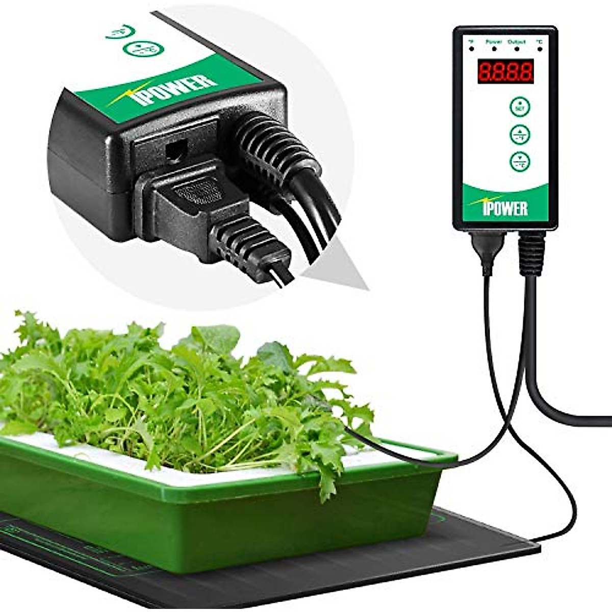 iPower PTHTPDCTRLV2HTPDM 6"x8" Reptile Heating Pad Under Tank Terrarium Heat Mat with Digital Thermostat Temperature Controller for Small Animals