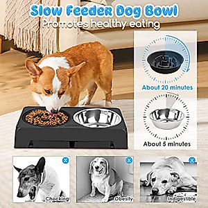 URPOWER Raised Slow Feeder Dog Bowls 4 Height Adjustable Elevated with Stainless Steel Water Bowl and Non-Slip Food Stand for Small Medium Large Dogs Pets