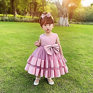 3M-6T Toddler Girl Bowknot Backless Tutu Gown Ruffle Lace Tulle Pageant Dress Baby Party Dresses with Headwear Dark Pink 80