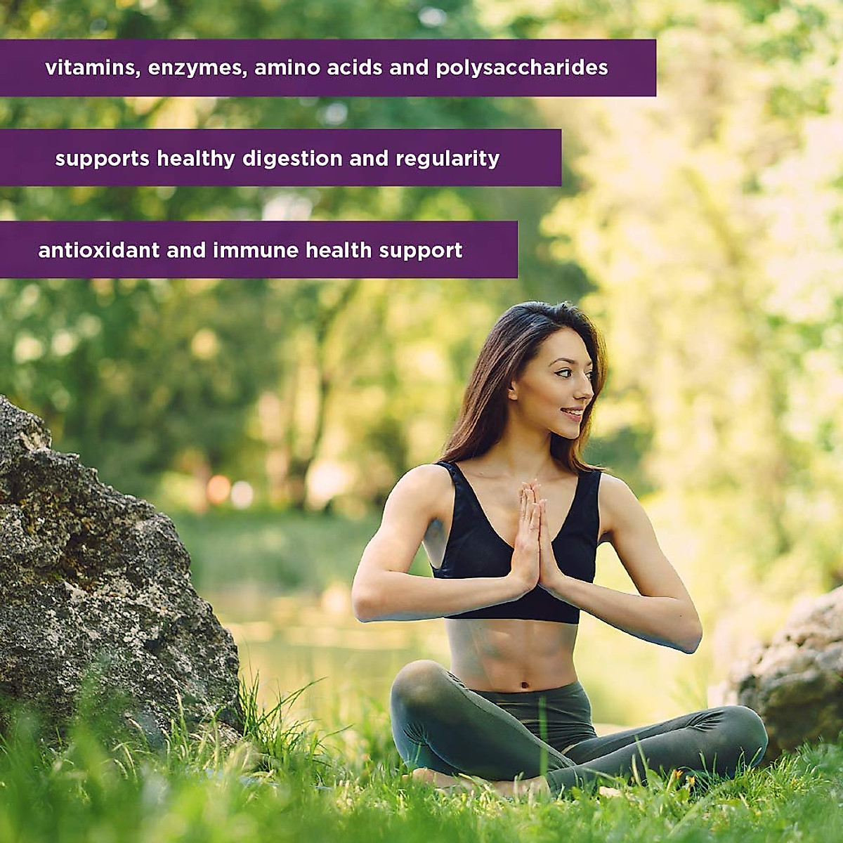 Lily Of The Desert Aloe Vera Juice Drink, Inner Fillet, Vegan Dietary & Immune Support, Gluten Free Liquid Digestive Aid, No Water Added, 16 Fl Oz