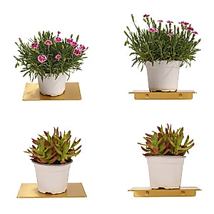 Veefos Small Gold Floating Shelves for Wall Decor 7.7 Inch, 2 Sets Bathroom Shelves Organizer Wall Mount, Sturdy Metal Wall Shelf for Plants Cell Phone Speakers Cameras Living Room Office