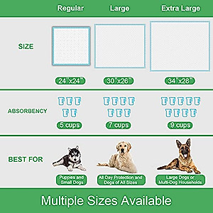 Deep Dear Pet Training and Puppy Pads 24"x24", Regular Super Absorbent Pee Pads for Dogs, Leak-Proof Potty Training Pads for Puppies, Cats, Rabbits, Disposable Pet Pads for Housetraining 75-Count