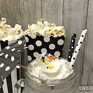 Paper Drinking Straws - Black Red and White Polka Dot - Ladybug Theme - 7.75 x .25 Inches - 100 Pack - Outside the Box Papers Brand