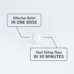 PetArmor CAPACTION (nitenpyram) Oral Flea Treatment for Dogs, Fast Acting Tablets Start Killing Fleas in 30 Minutes, Dogs 2-25 lbs, 6 Doses