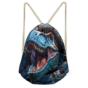 AFPANQZ Personalized Drawstring Bags T-rex Dinosaur Printed for Teenager Boys Sports Shoulder Bag Backpack Outdoor Causal Rucksack Satchel