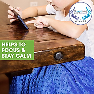 BARMY Weighted Lap Pad for Kids (24”x24”, 5lbs, 8 Colors) Weighted Lap Blanket with Removable, Washable Cover, Sensory Lap Pad for Child, Teen, Dogs, 100% Cotton Inner Weighted Blanket, Blue